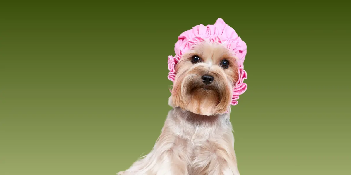 Shampoo Repelente para Cães | Pilou